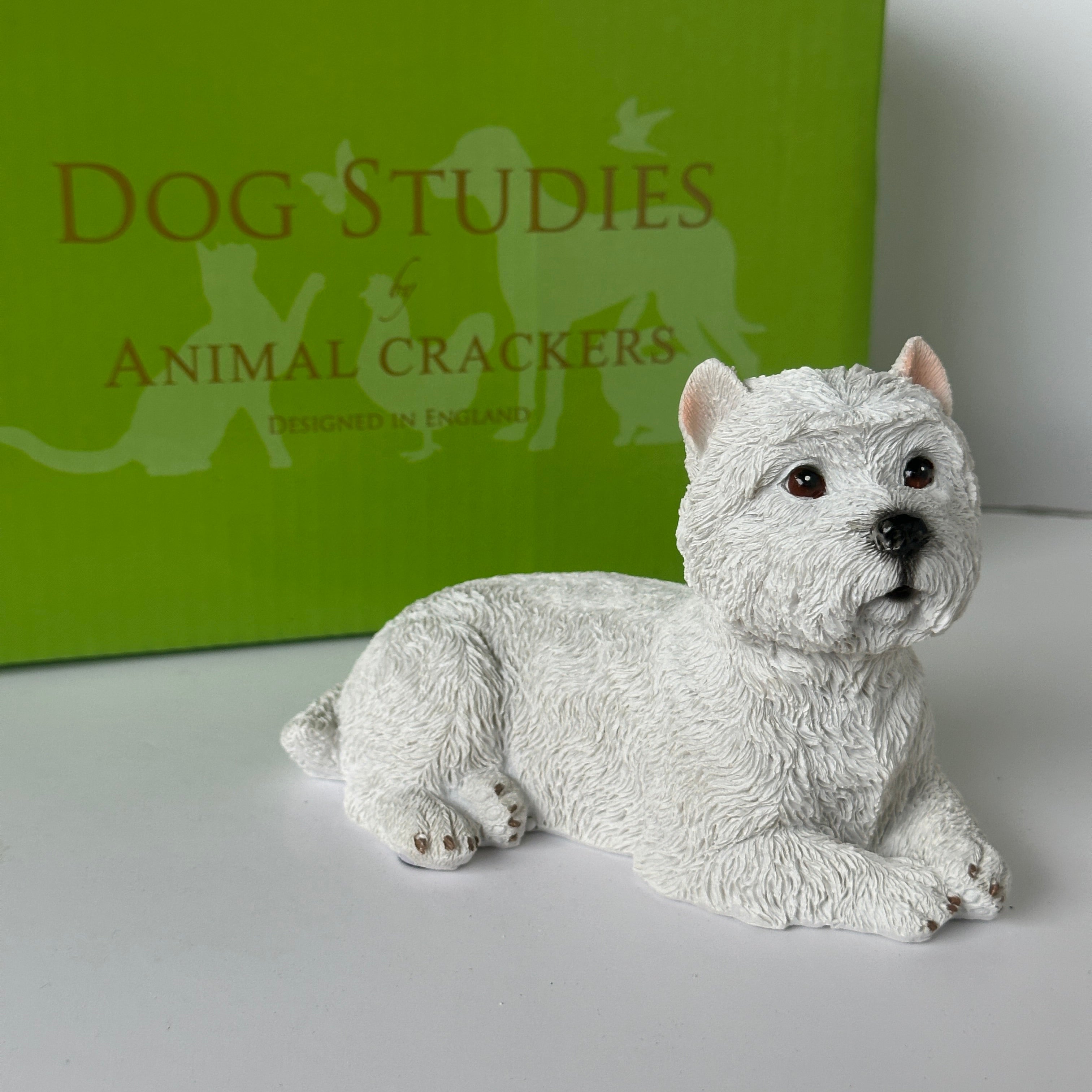 Realistic Laying West Highland Terrier 'Westie' Dog figurine, gift box