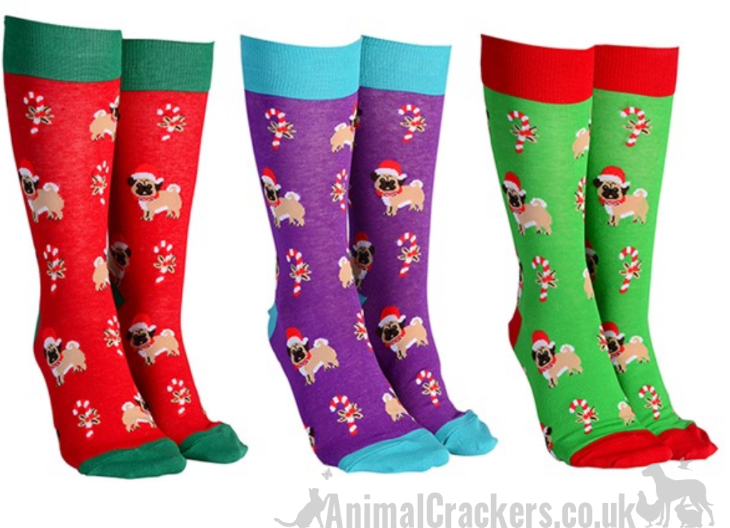 Novelty Christmas Pug socks, Unisex and One Size, quality cotton mix s