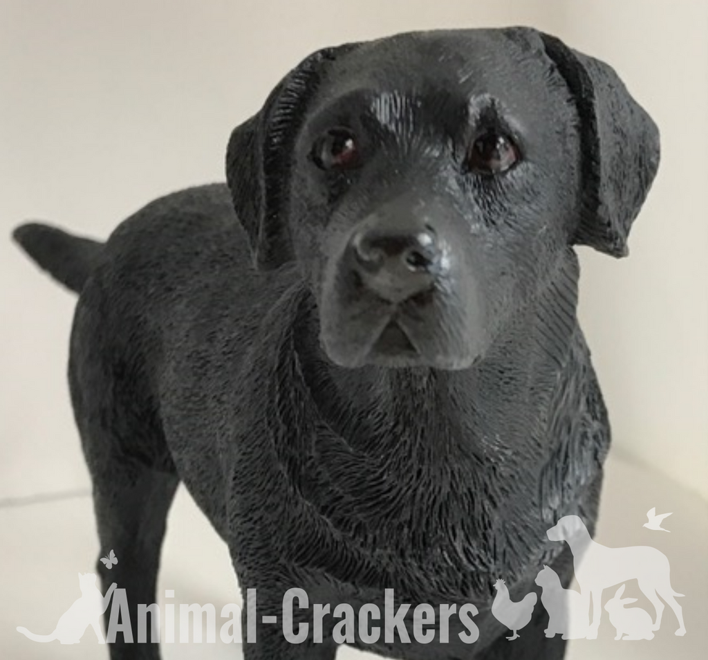 Black Labrador ornament quality lifelike figurine from Leonardo range.
