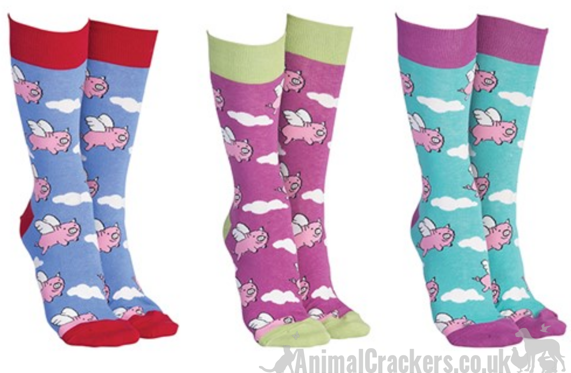 Novelty bright colour 'Flying Pig' Pig design socks form the Sock Soci