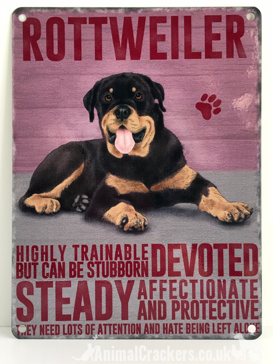 20cm metal vintage style Rottweiler Rottie breed character hang sign p