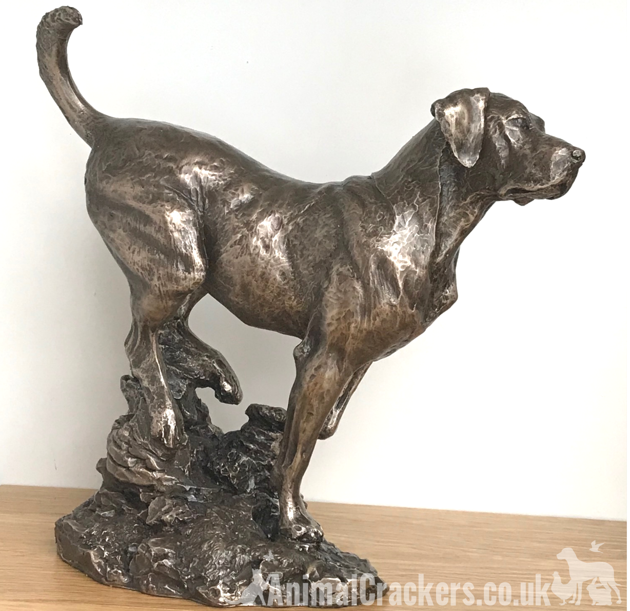 Labrador sculpture designed by David Geenty in heavy weight Cold Cast