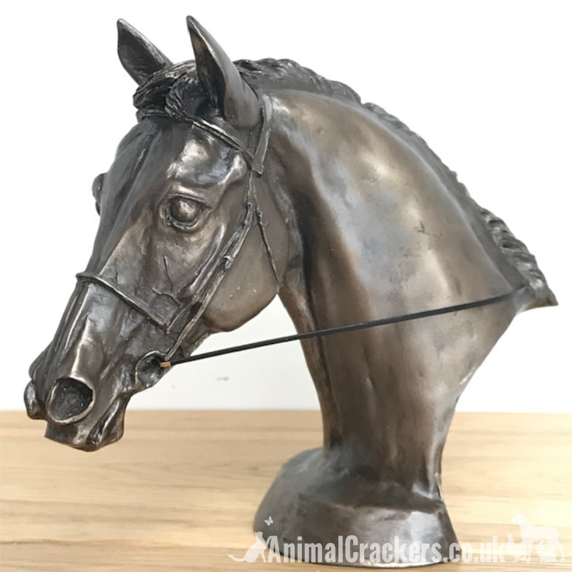 Race Horse Eventer Head bust sculpture in Cold Cast Bronze, by Harriet