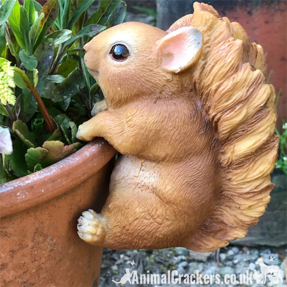 SQUIRREL Pot Pal POT HANGER novelty garden ornament decoration garden