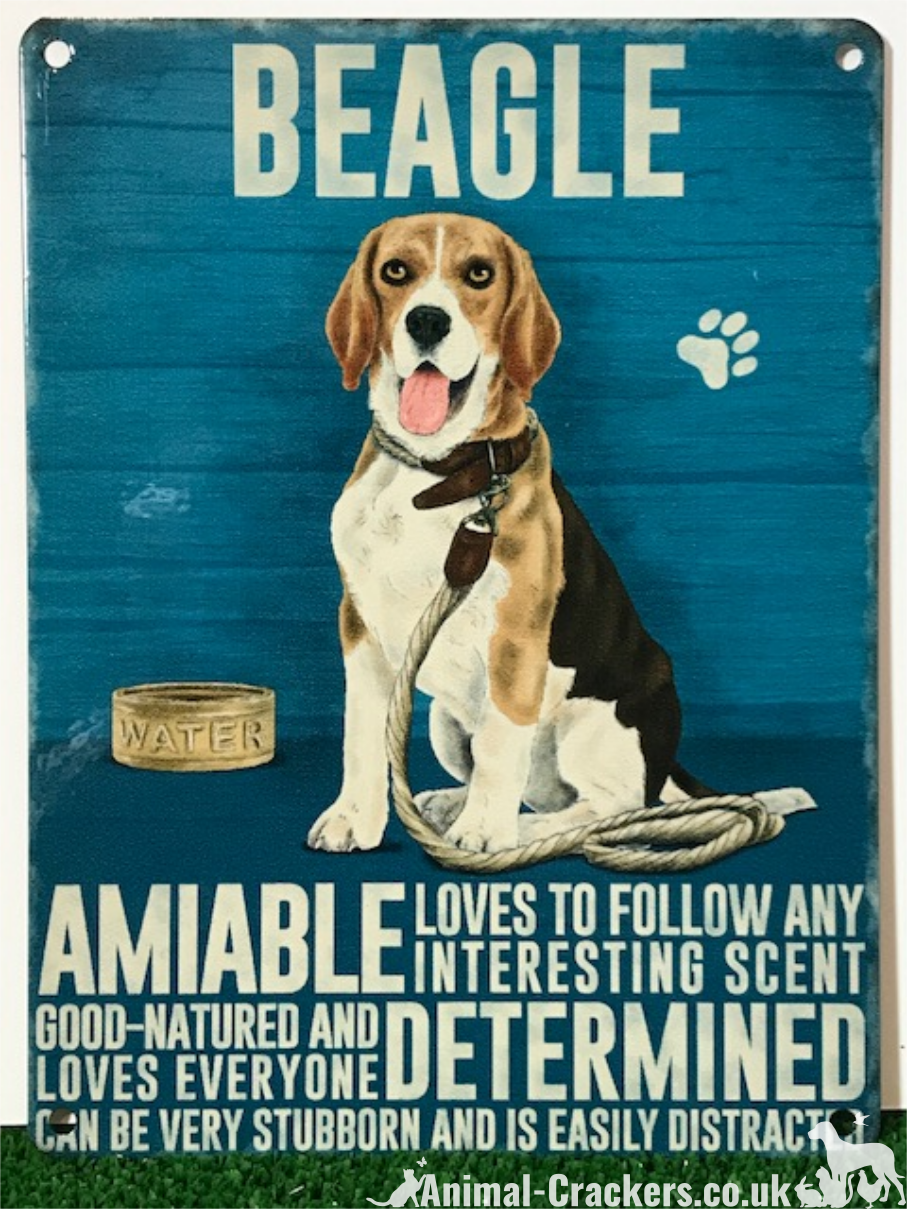 20cm metal vintage style Beagle lover gift breed character hanging sig