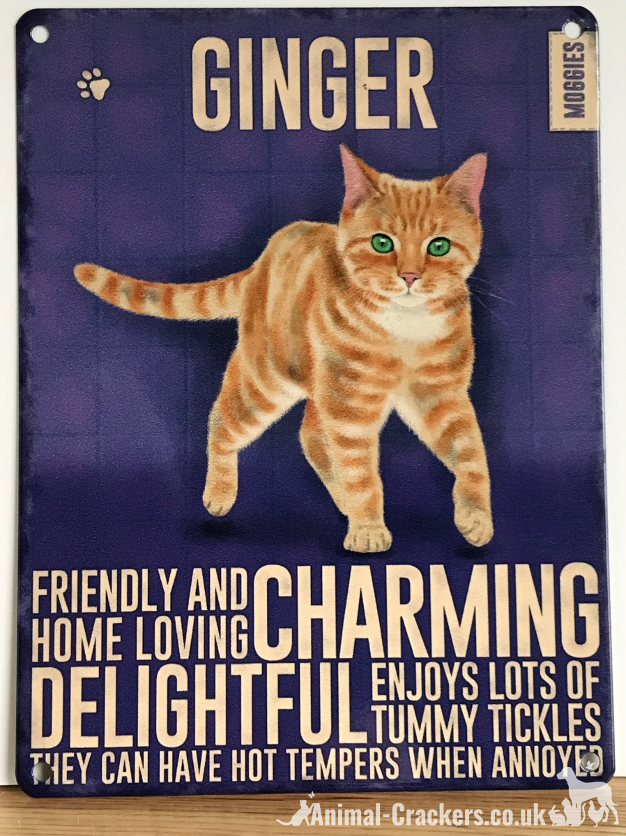 Wall art - Metal signs